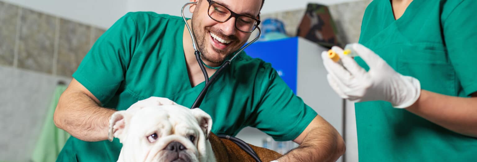 What Can You Do With a Pre-Vet Major? | Iowa Valley Community College ...